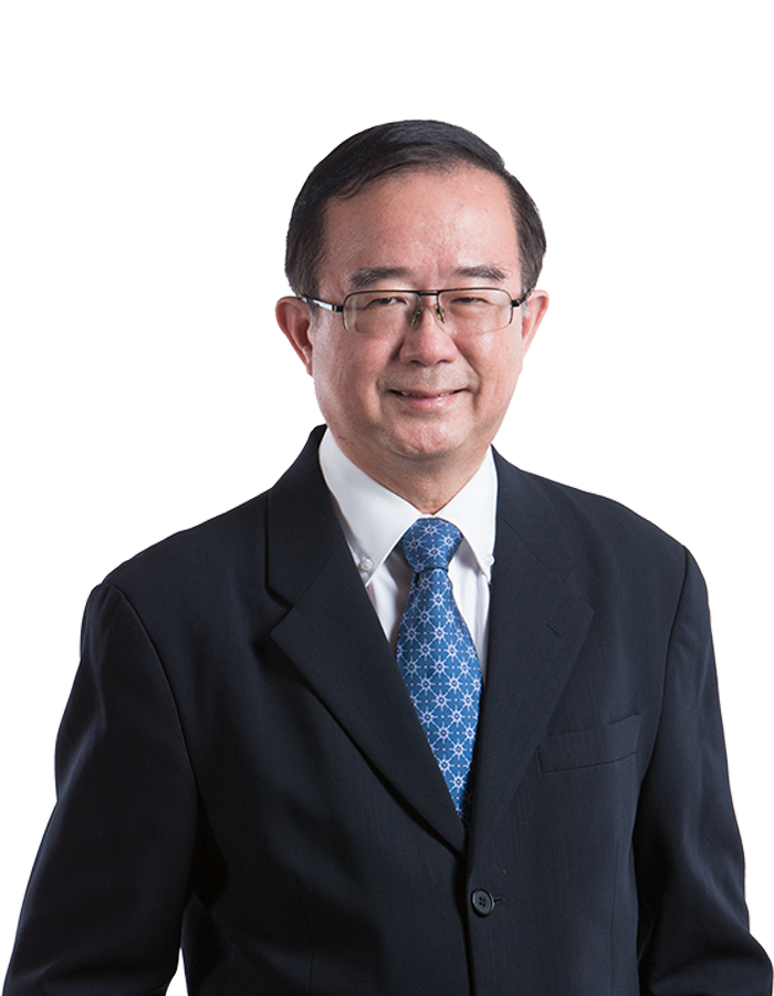 SIM Annual Report 2015