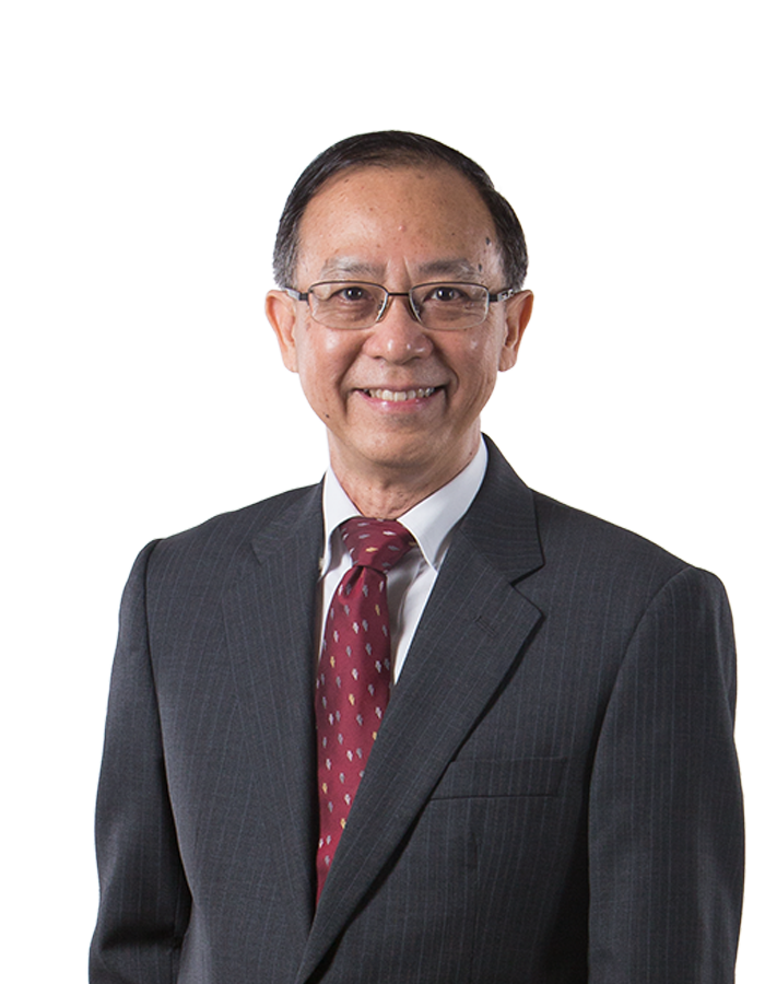 SIM Annual Report 2015