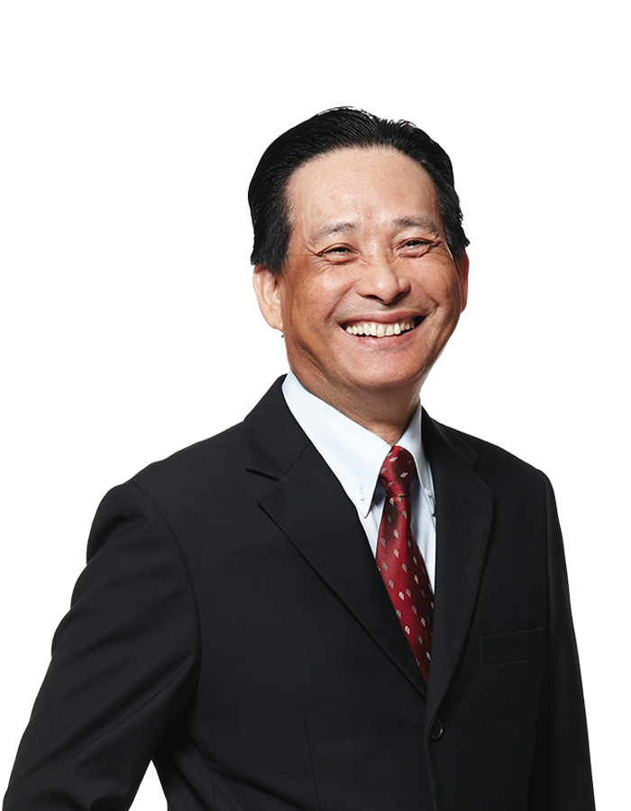 SIM Annual Report 2015